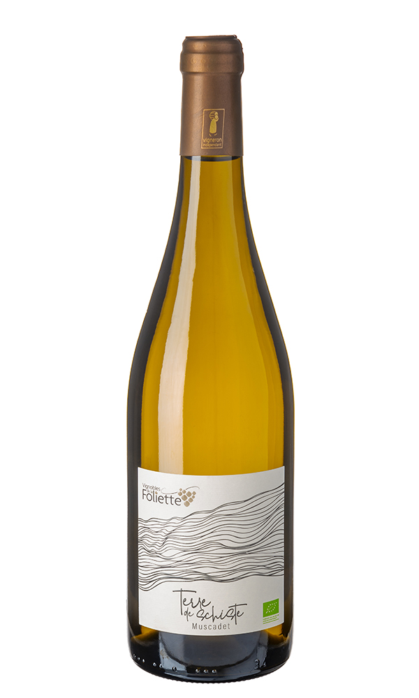Terre de Schiste, Muscadet Biologique - Domaine de la Foliette